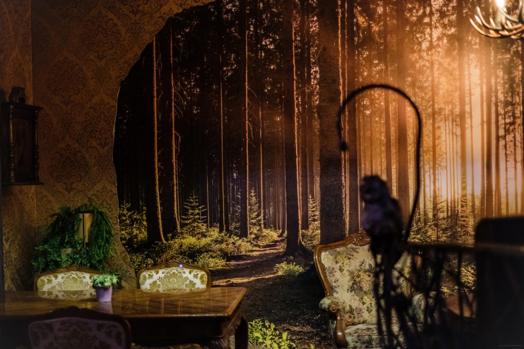 Nimm Kontakt mit uns auf! - Herr KAUZIG